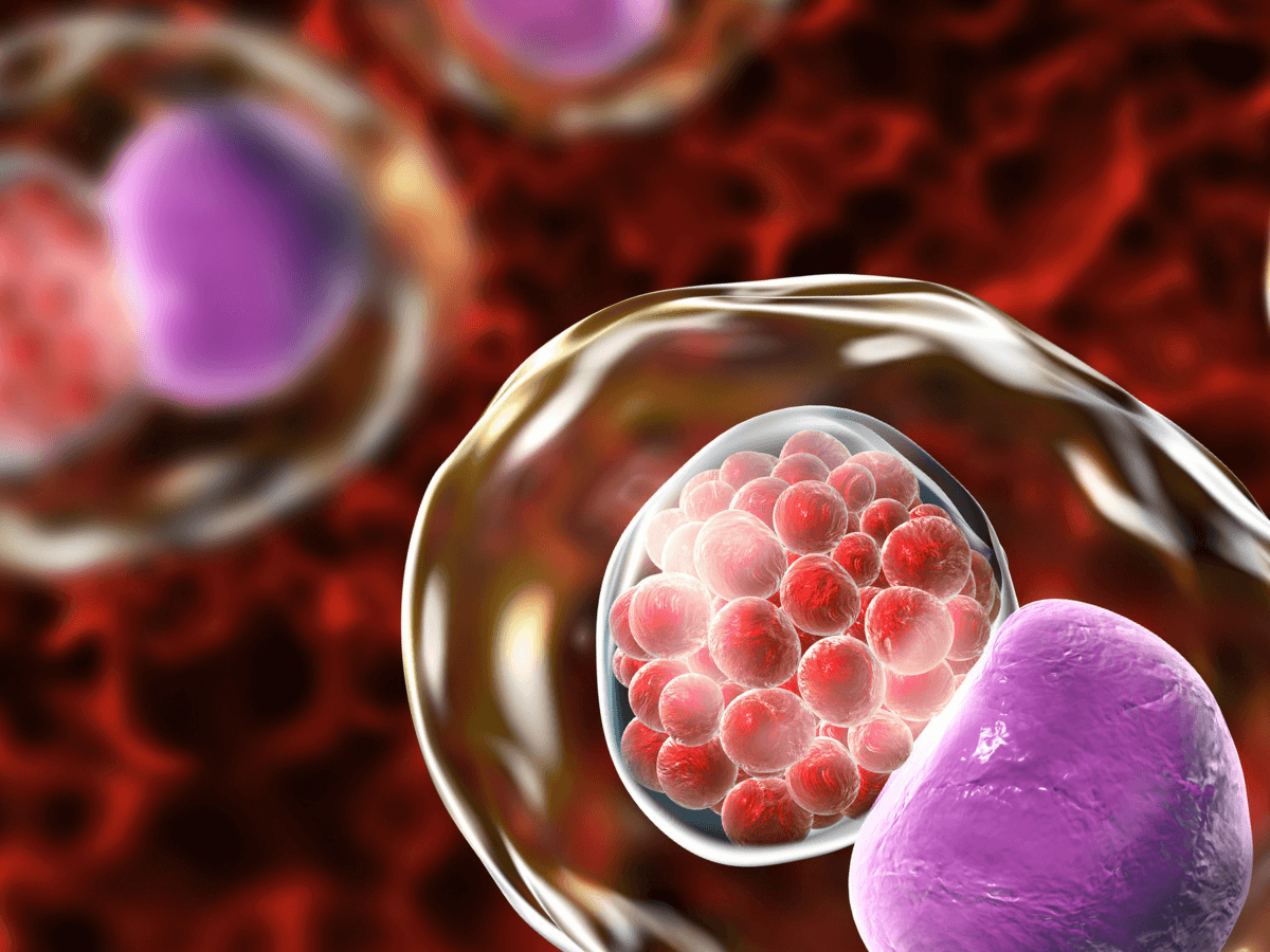 Tracoma 😷 ¿Qué es, cómo se diagnostica y trata?